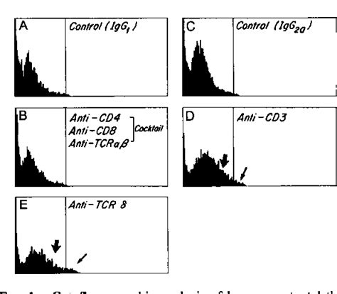 Figure 1 From Maturation Or Differentiation Of Human Thymocyte Precursors In Vitro Semantic
