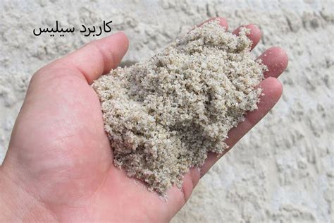 صادرات سیلیس