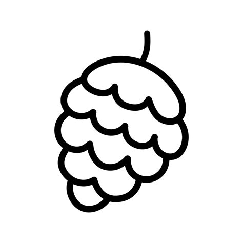 Pine Cone Hand Drawn Sketch Icons Of Forest Botanical Element Isolated Vector Illustration In