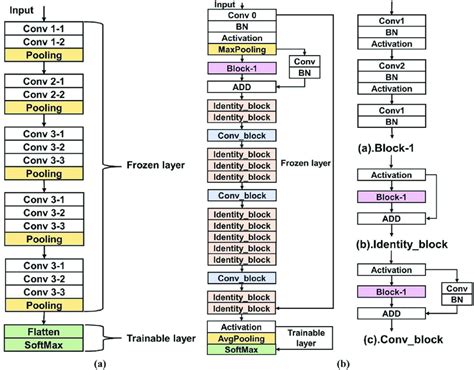 Vgg16 And Resnet50 Architecture Showing Input Layer Convolution Layer