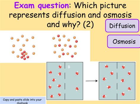 Osmosis GCSE Teaching Resources