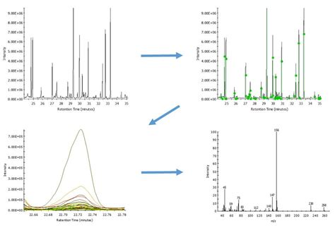 An Automated Metabolomics Data Processing Workflow To Distinguish
