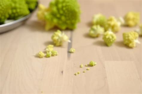 世界一美しい野菜？「ロマネスコ」を買って分解して観察して食べてみたよ 農家漁師から産地直送の通販 ポケットマルシェ