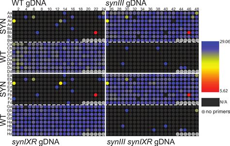 Qpcrtag Analysis A High Throughput Real Time Pcr Assay For Sc20