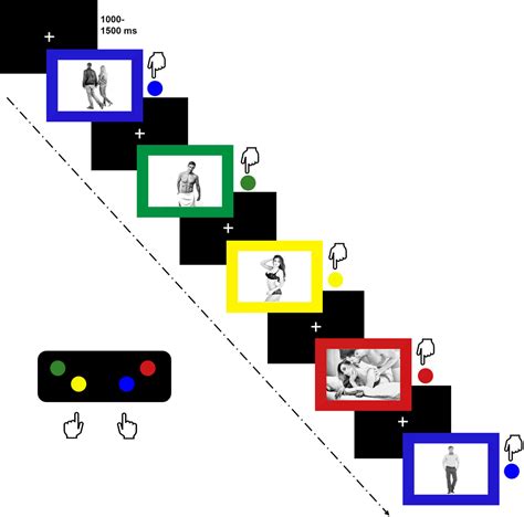 Frontiers Interplay Between Sexual Excitation And Inhibition Impact On Sexual Function And