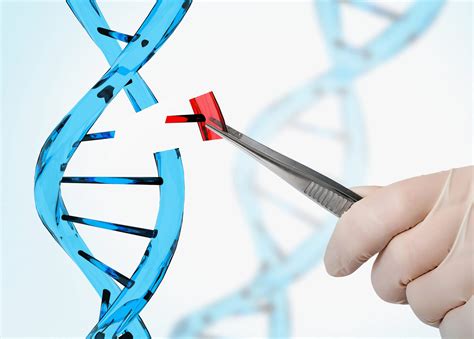 Genetic Engineering Is The Future Of Humanity By Sam Li Medium