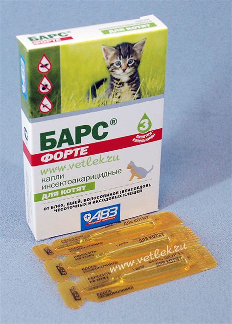 Барс форте капли для котят, уп. 3 пипетки купить в ветеринарном ...