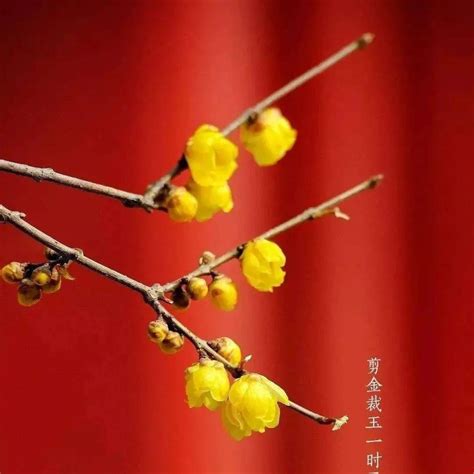 正月十三一段真心话 生活 人生 爱人