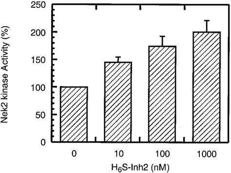 Activation Of Nek2 Kinase By Recombinant Inh2 Kinase Assays Were