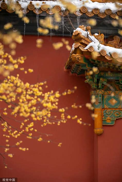停止胡思乱想 知乎