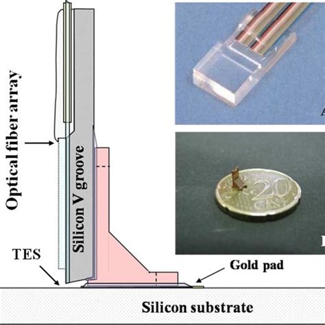 Schematic Representation Of The Arrayed Fiber To Chip Coupling 1 Is A