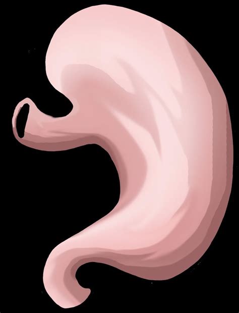 Dave Lowe Design The Blog Making A Life Sized Operation Game Part Three Operation Game