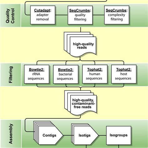 Roche 454 Read Processing Decontamination Assembly And Annotation Download Scientific