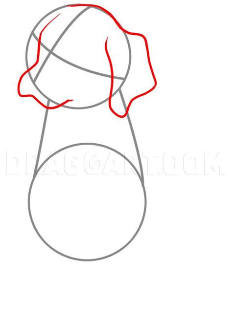 How To Draw A Lab Step By Step Drawing Guide By Dawn Artofit