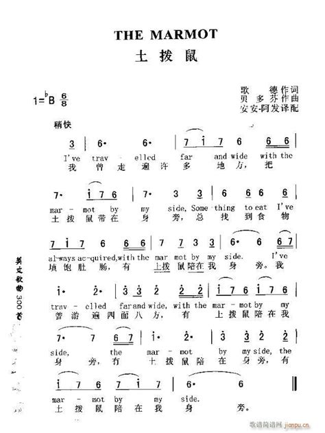 THE MARMOT土拨鼠 歌谱简谱网