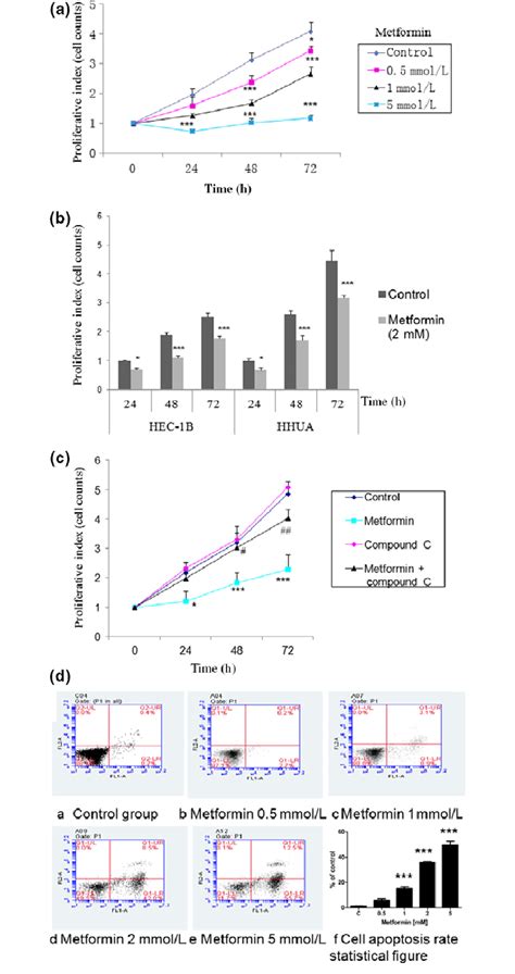 Effect Of Metformin On Estrogen Dependent Endometrial Cancer Ec Cell