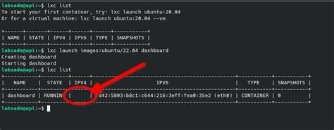 New Server Container Has No Ipv4 Lxd Linux Containers Forum