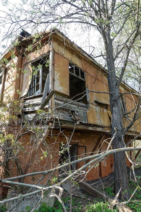 Casa Abandonada No Meio De Uma Floresta Verde Foto De Stock Imagem De Tudo Foliage