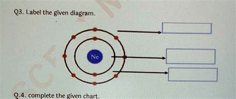 Solved Q3 Label The Given Diagram Q3 Label The Given Diagram Uyh