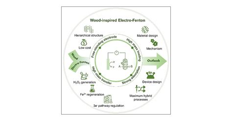 Perspectives Of Wood Inspired Electro Fenton Catalysis For Energy