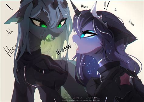 4088851 E621