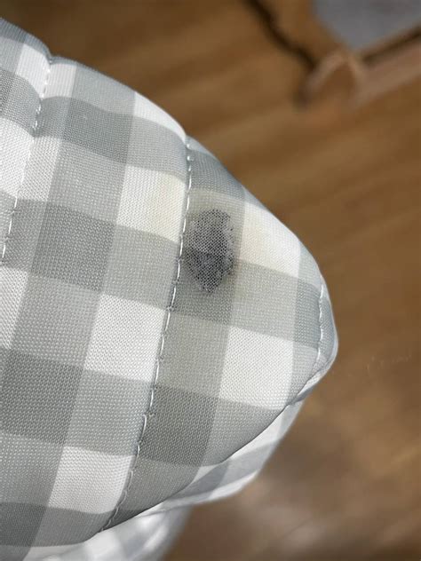 [잡담] 익들아 이거 뭐같아 사진주의 인스티즈 Instiz 일상 카테고리