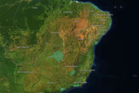 Programas Itdp Brasil