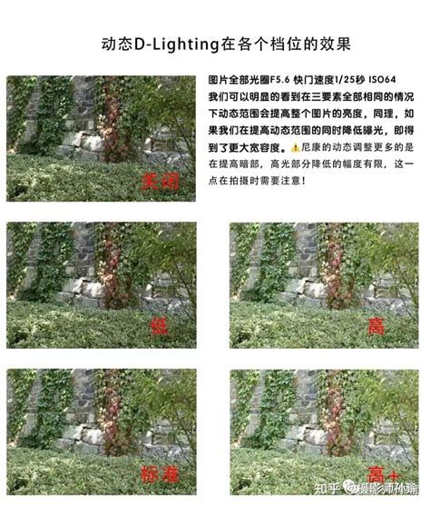 尼康直出常用设置图文详解 知乎