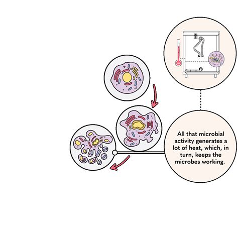 Inside One Of The Worlds First Human Composting Facilities
