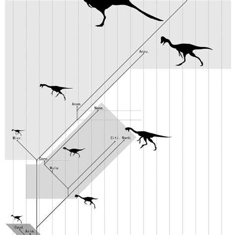 Pdf A New Caenagnathid Dinosaur From The Upper Cretaceous Wangshi Group Of Shandong China