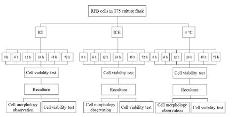 The Flow Chart Of The Study Design Download Scientific Diagram