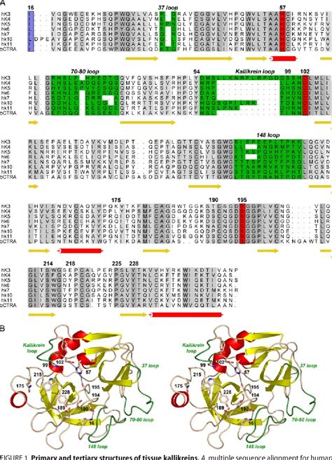 Figure 1 From Specificity Profiling Of Seven Human Tissue Kallikreins