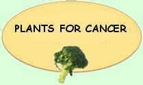 Plants And Cancer Botanical Online