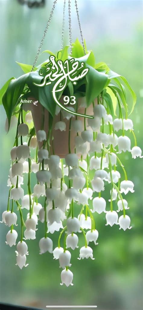 صباح الخير Good Morning Images Flowers Good Morning Rain Love Heart