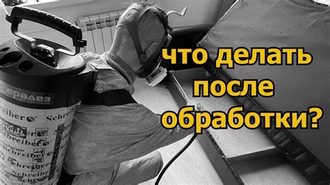 Что делать ПОСЛЕ ОБРАБОТКИ квартиры от насекомых Дезинсекция ГЕРАДЕЗ