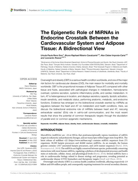 Pdf The Epigenetic Role Of Mirnas In Endocrine Crosstalk Between The
