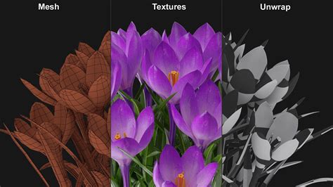 Purple Flowering Plants Collection 3d Model 69 3ds Obj Max C4d