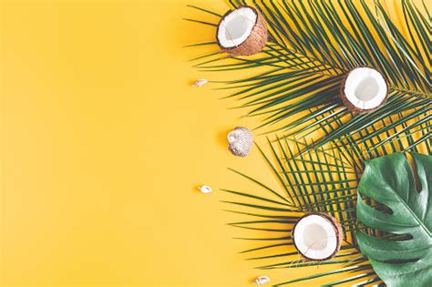 여름 구성 열 대 야자수 잎 노란 배경에 코코넛 여름 개념입니다 플랫 레이 평면도 복사 공간 개념에 대한 스톡 사진 및 기타