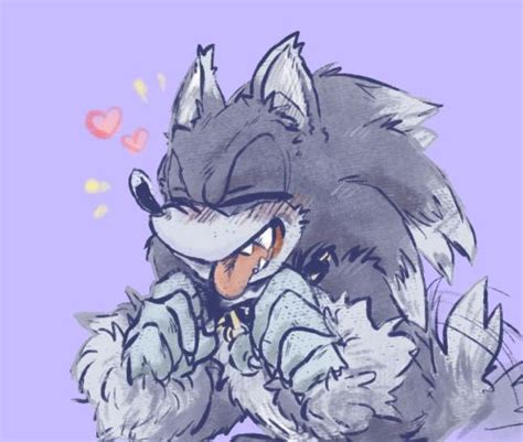 17 Best Images About Sonic The Werehog On Pinterest Perfect Love