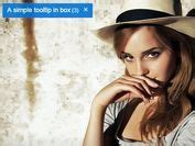 Lightweight And Highly Customizable Jquery Tooltip Plugin Zebra