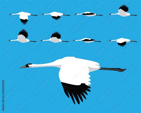 Bird Whooping Crane Flying Cartoon Vector Animation Frame Stock Vector