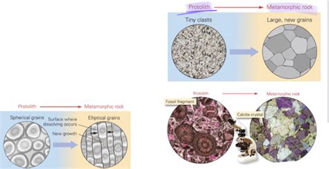 Lecture 6a Metamorphic Processes Flashcards Quizlet
