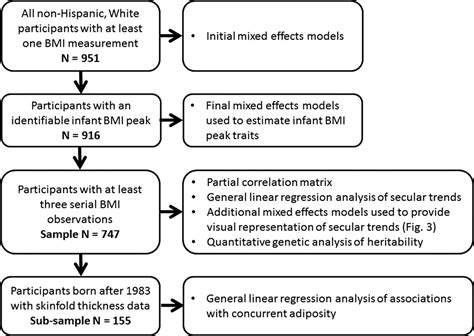 Characterization Of The Infant Bmi Peak Sex Differences Birth Year Cohort Effects Association