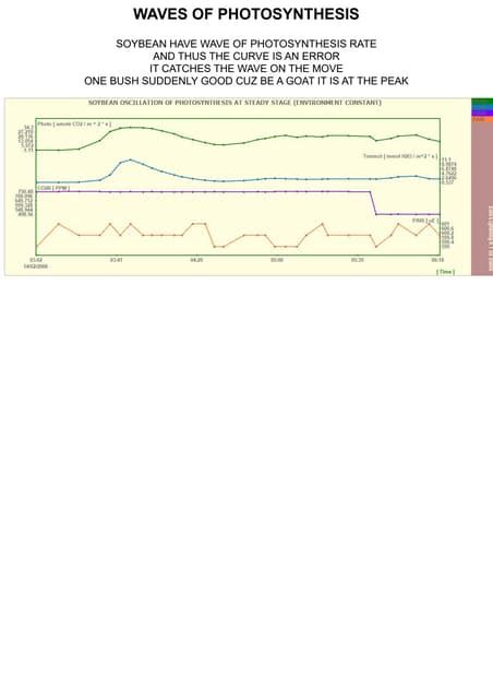 Wave Of Photosynthesis En Soybeanpdf