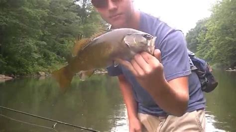 Creek Smallmouth Bass Fishing Pa 2014 Youtube