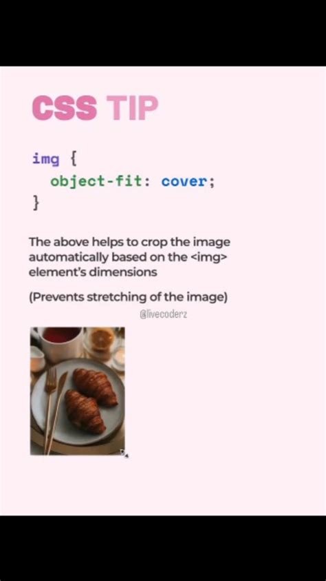 Live Coderz Css Tips🔥 💻 Dreaming Of A Career In Tech 🚀 Its Time To