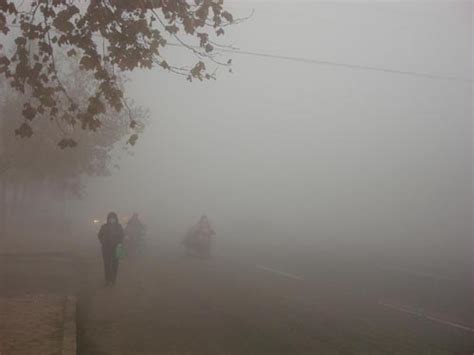 浓雾浓雾山路浓雾森林大山谷图库