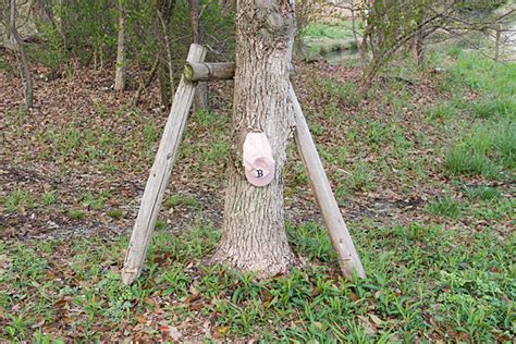 道ばたの落ちもの風景