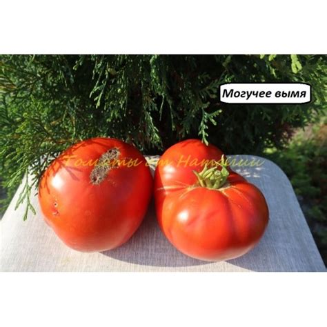 Могучее вымя