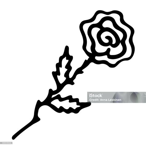 Ilustración De Garabato Estilizado Rose Ilustración De Boceto Vectorial